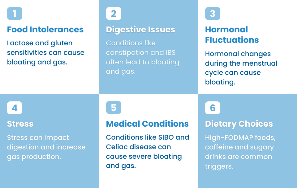 Why Am I Bloated and Gassy? Exploring the Causes - ARCpoint Labs